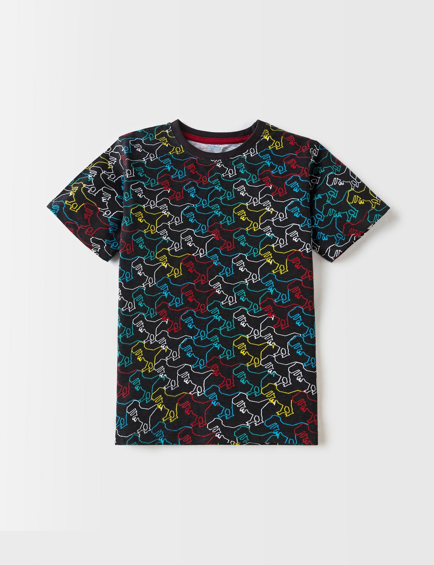 All over Dino Shirt – BEECHTREE