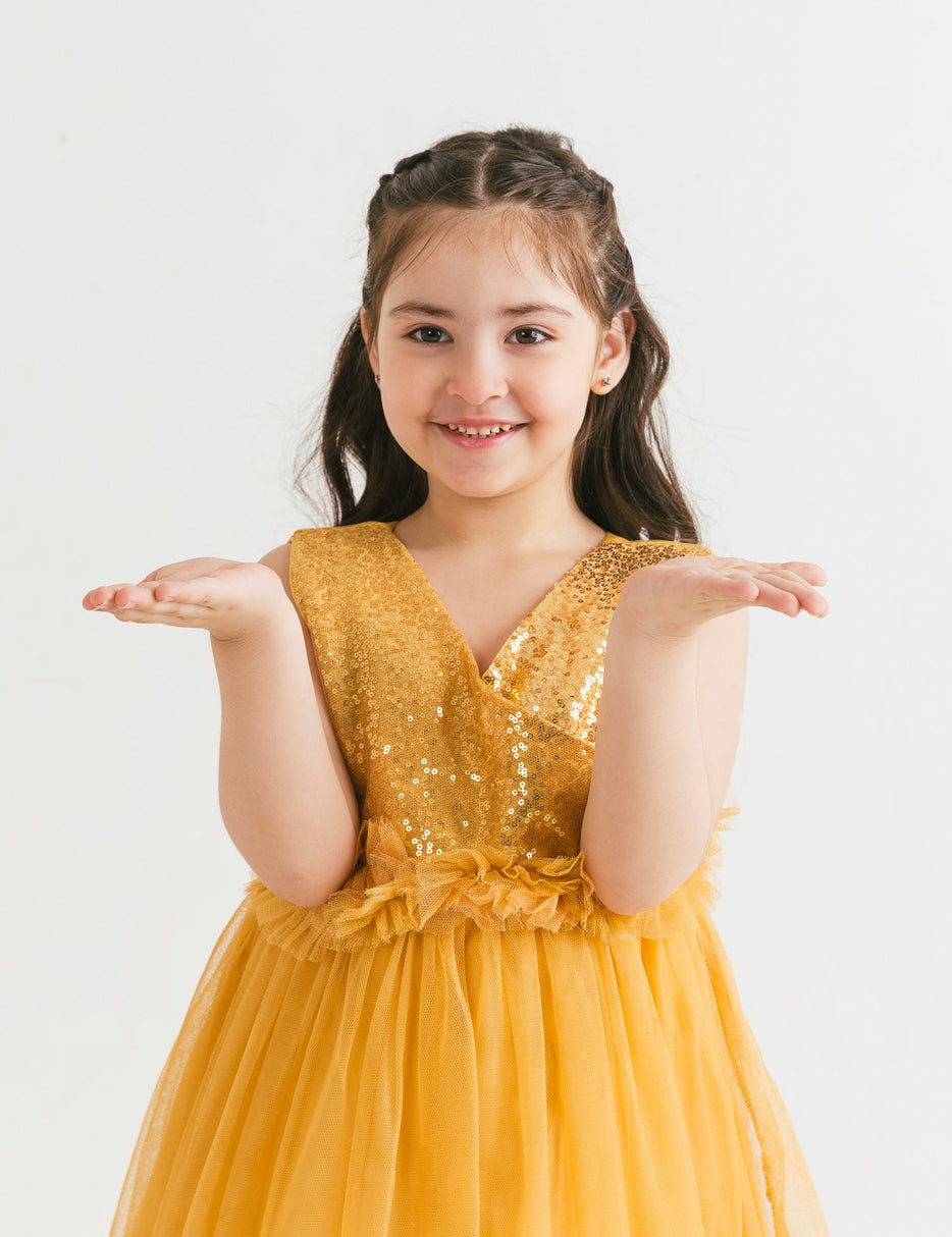 Sequin Embroidered Party Dress – BEECHTREE