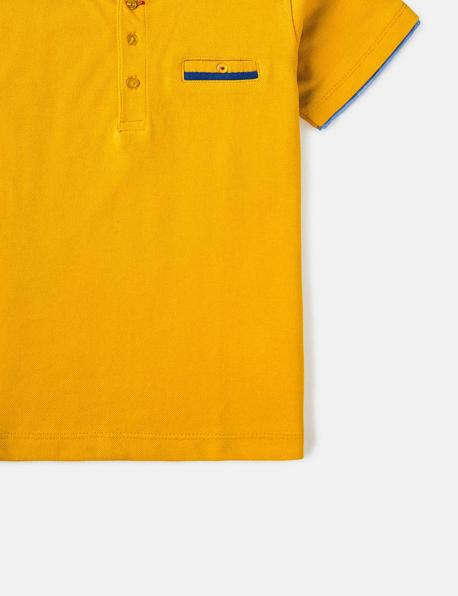 Solid Polo – BEECHTREE